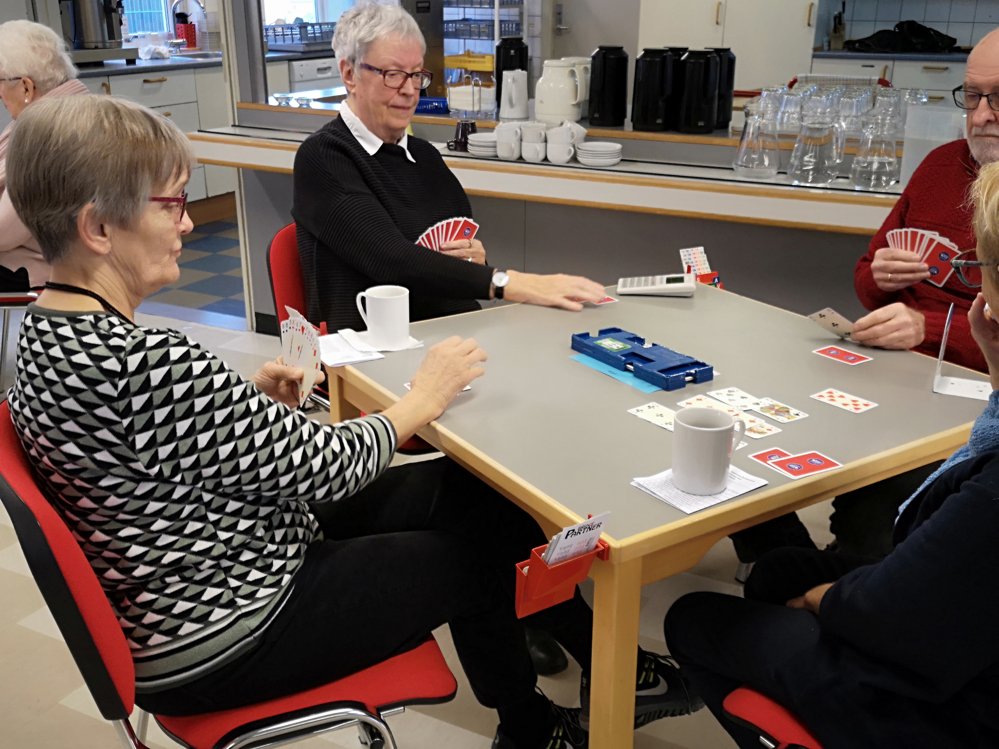 Hvem spiller bridge?